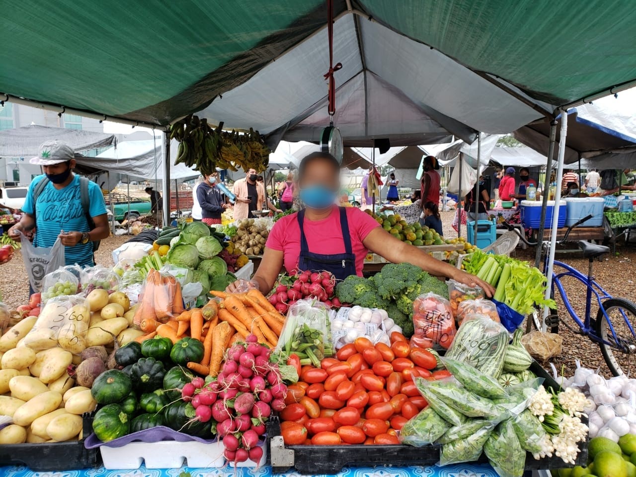 Help for Progress – Help for Progress, Belize